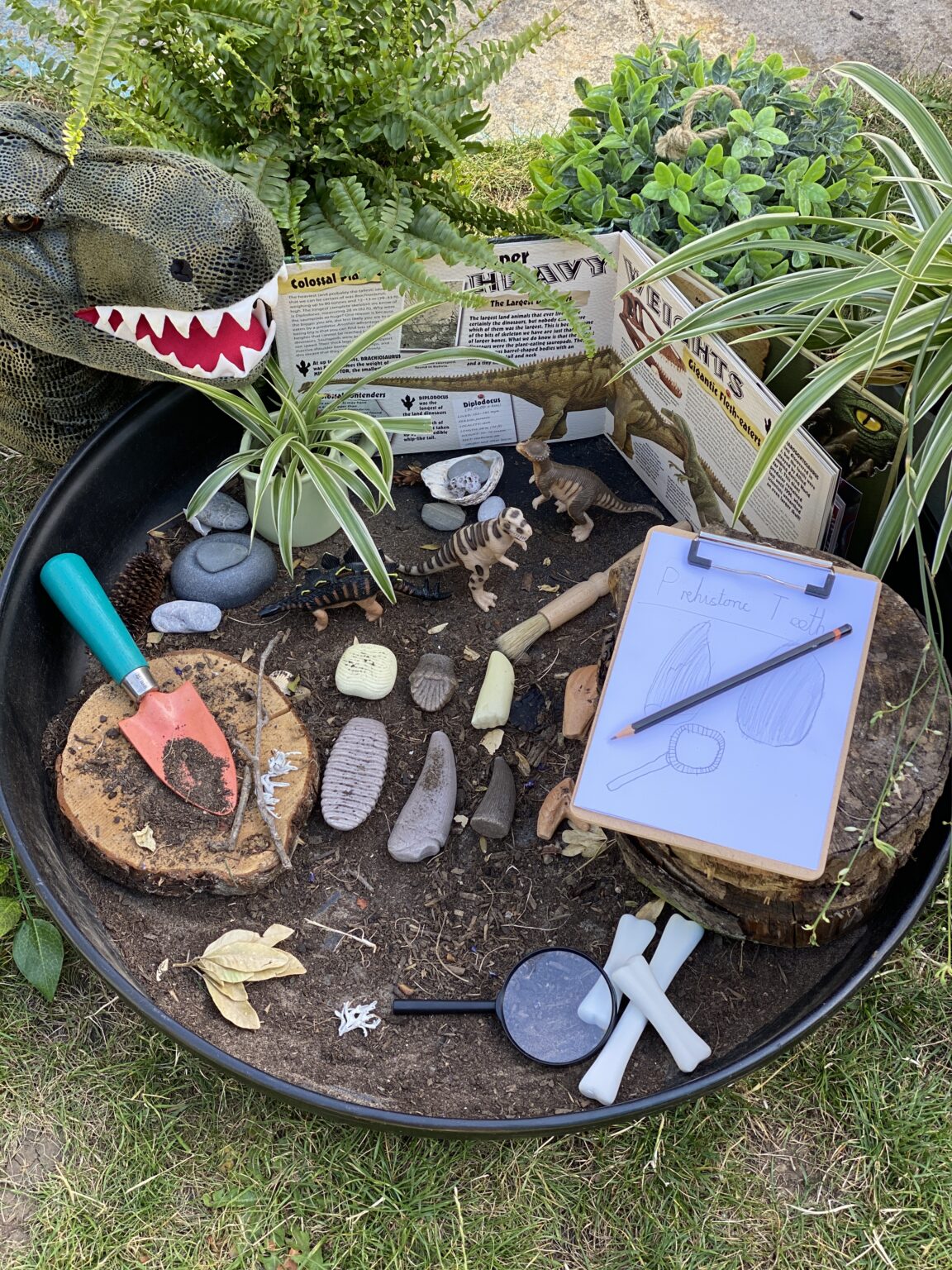 Prehistoric Play! - Yellow Door