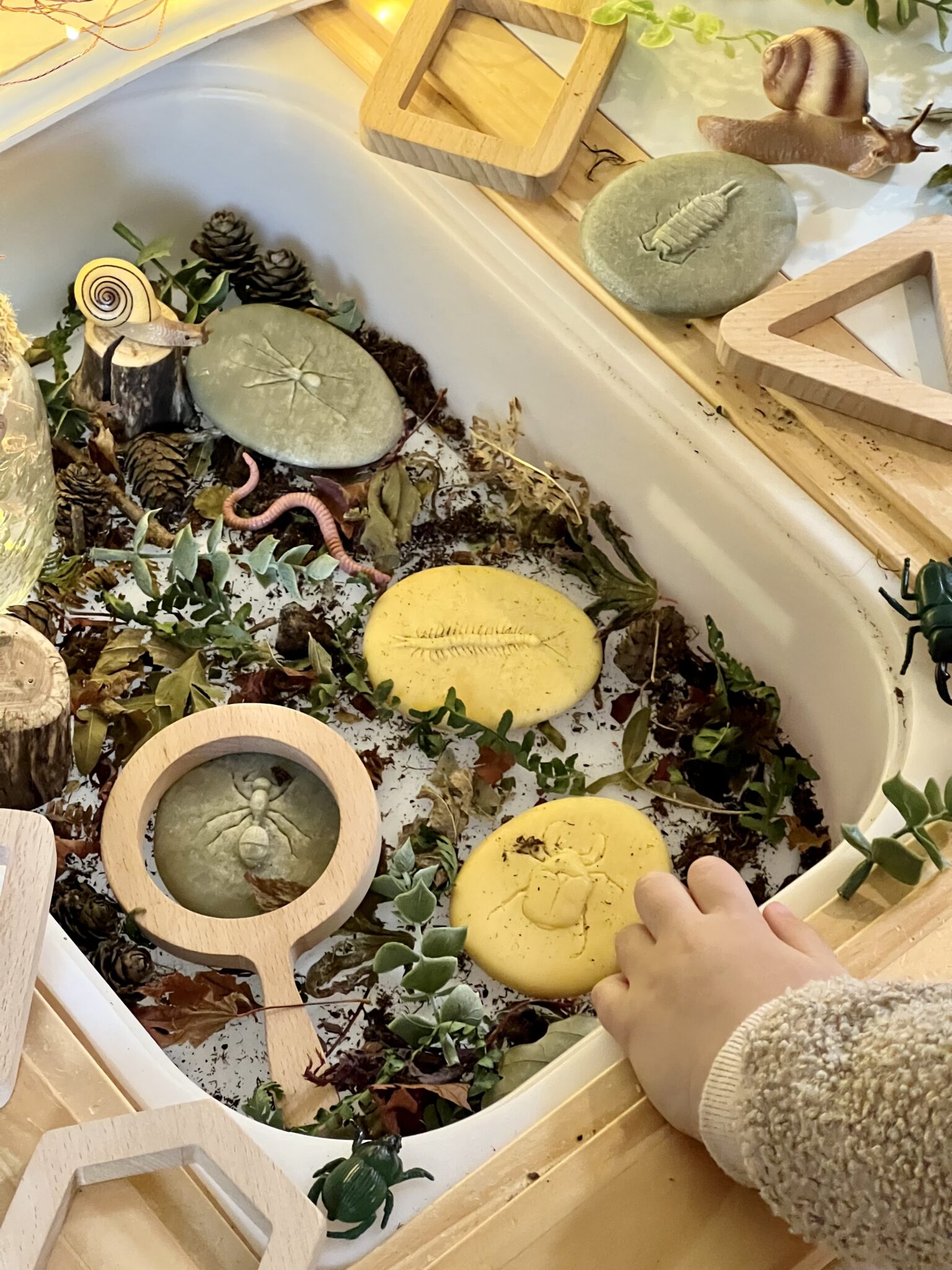 The Secret Life of Minibeasts: Fun Learning Ideas for Children - Yellow ...