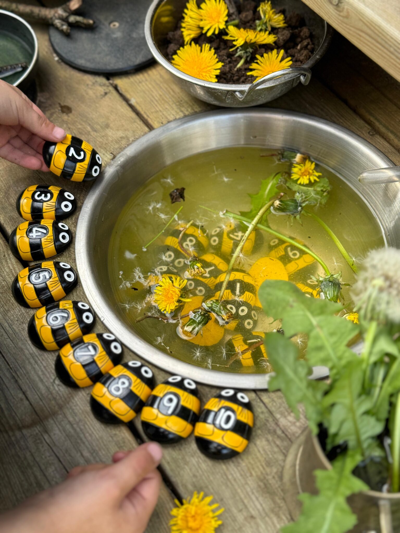 The Secret Life of Minibeasts: Fun Learning Ideas for Children - Yellow ...