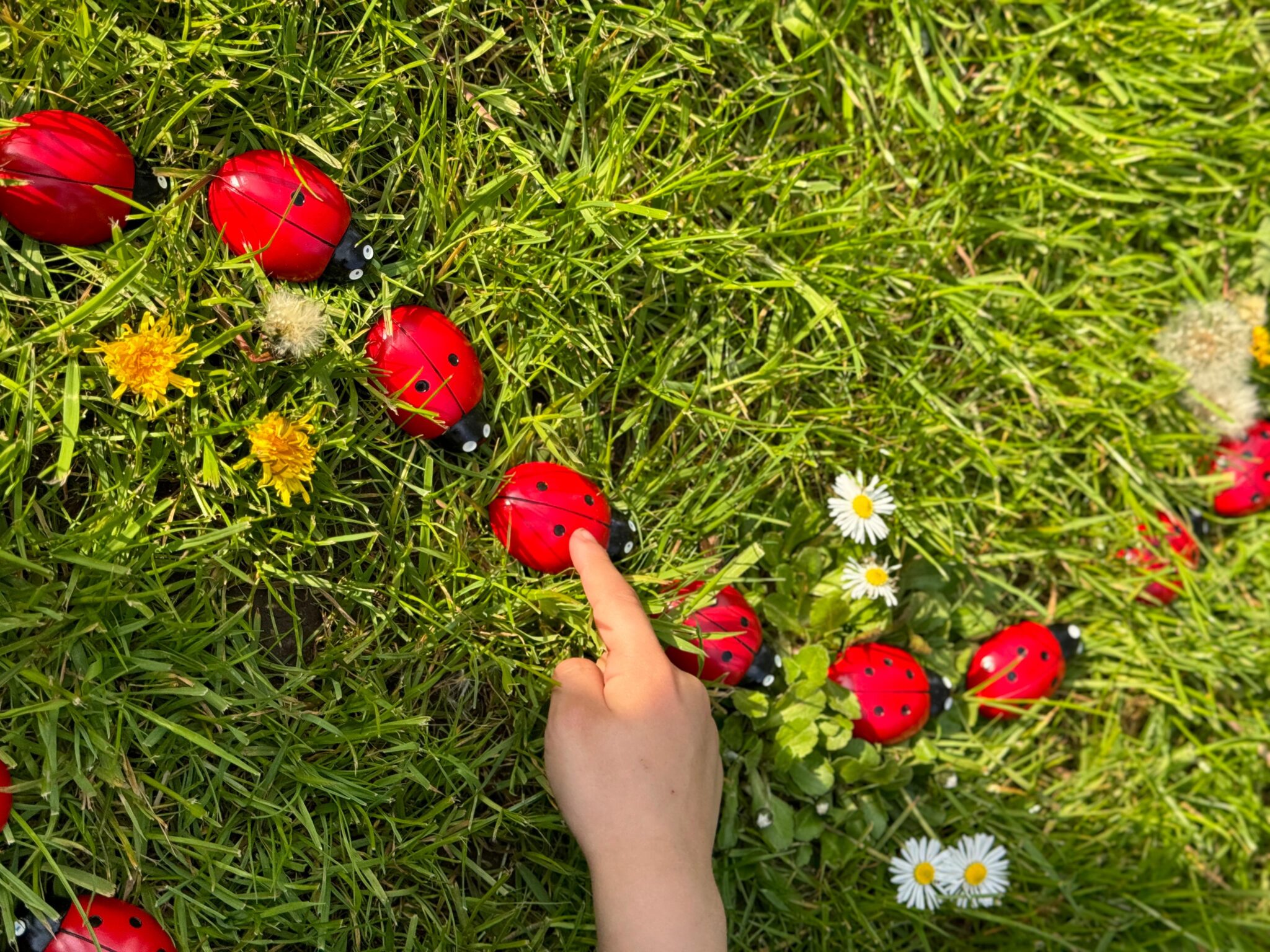 The Secret Life of Minibeasts: Fun Learning Ideas for Children - Yellow ...