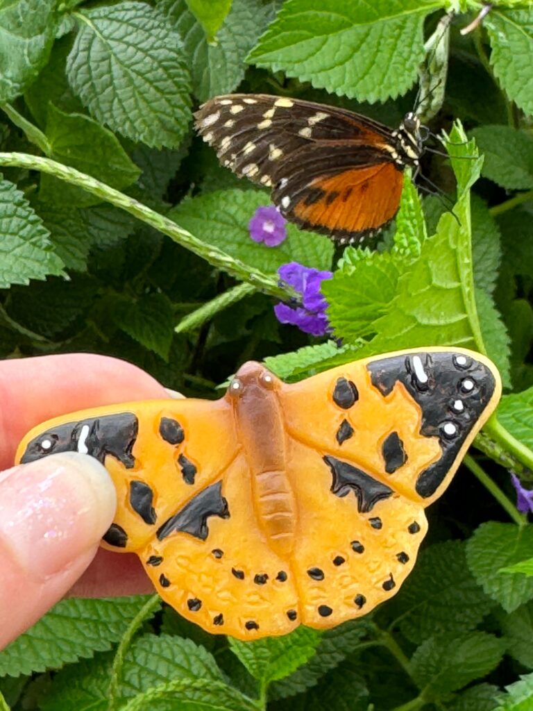 The Secret Life of Minibeasts: Fun Learning Ideas for Children - Yellow ...
