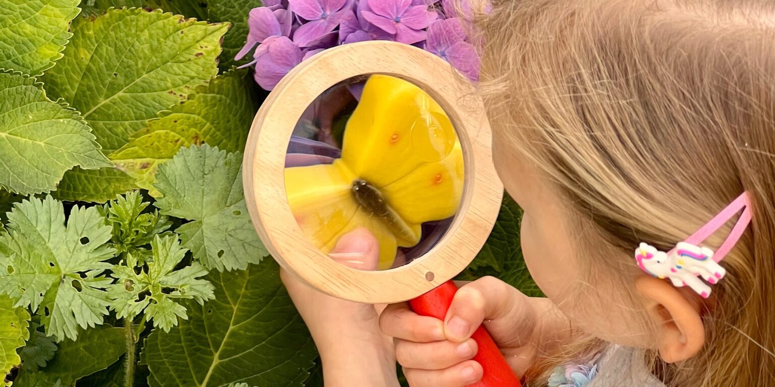 The Secret Life of Minibeasts: Fun Learning Ideas for Children - Yellow ...